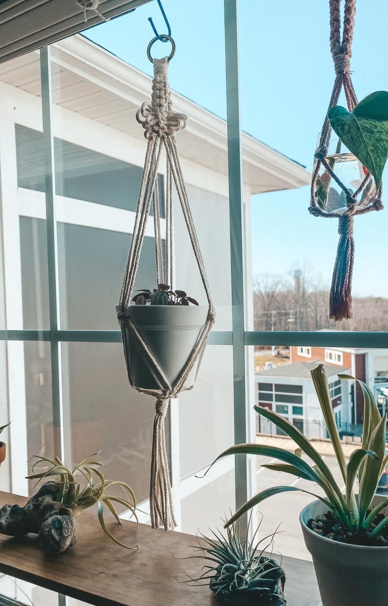 Macrame Terrarium Plant Hanger With Optional Terrarium Globe Included ...