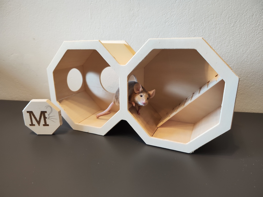 Double Cave - Size M - for Dwarf Hamsters, Colored Mice / Hamster House ...
