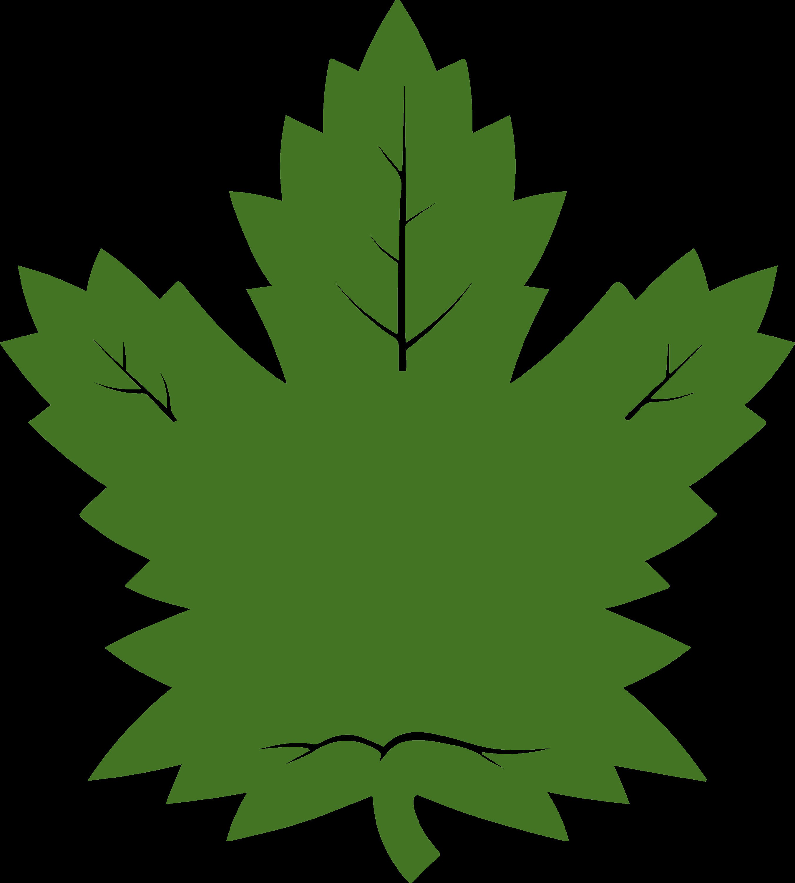 Maple LEAF Viens Svg, Leaf Viens Svg, Viens Svg,fall Leaf Svg, Leaves ...