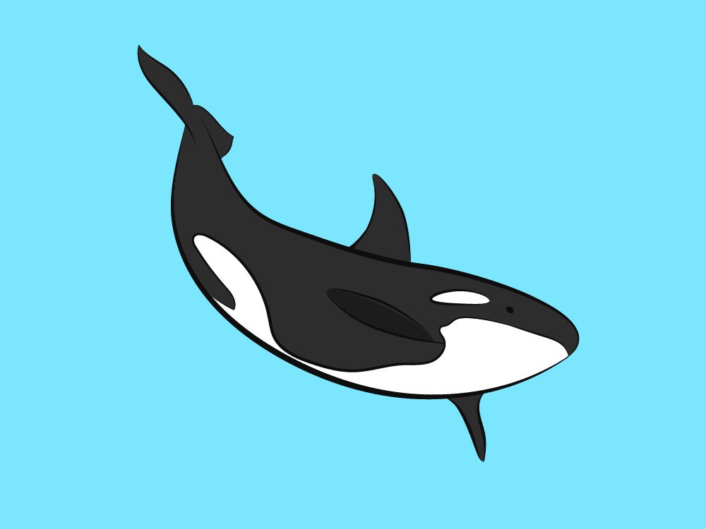 Ballena SVG animales Svg Medio Ambiente sVg - Etsy México