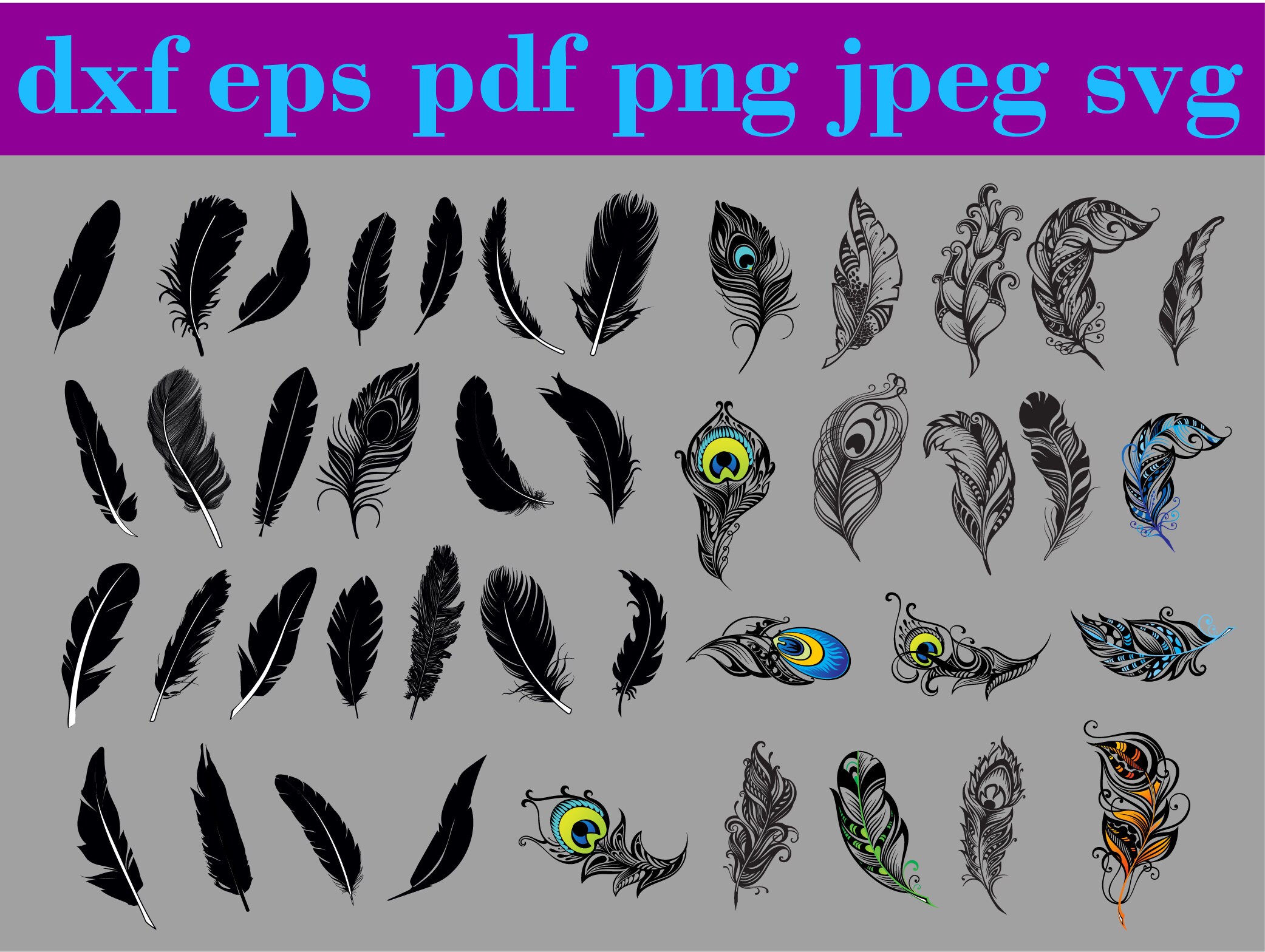 Feather Svg Bundle,peacock Feather Svg, Svg for Cricut, Boho Svg ...