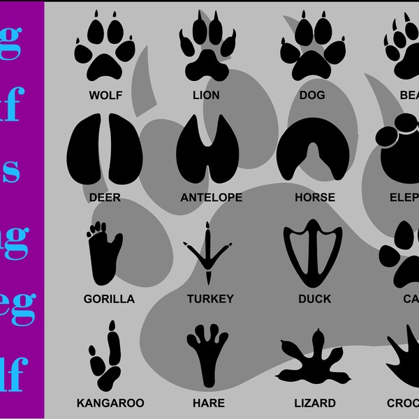 Animal Tracks Svg - Etsy