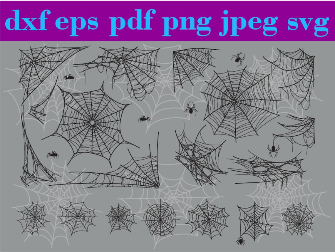 Spider Web Svg Spider Web Spider Svg Insect Svg Cobweb - Etsy