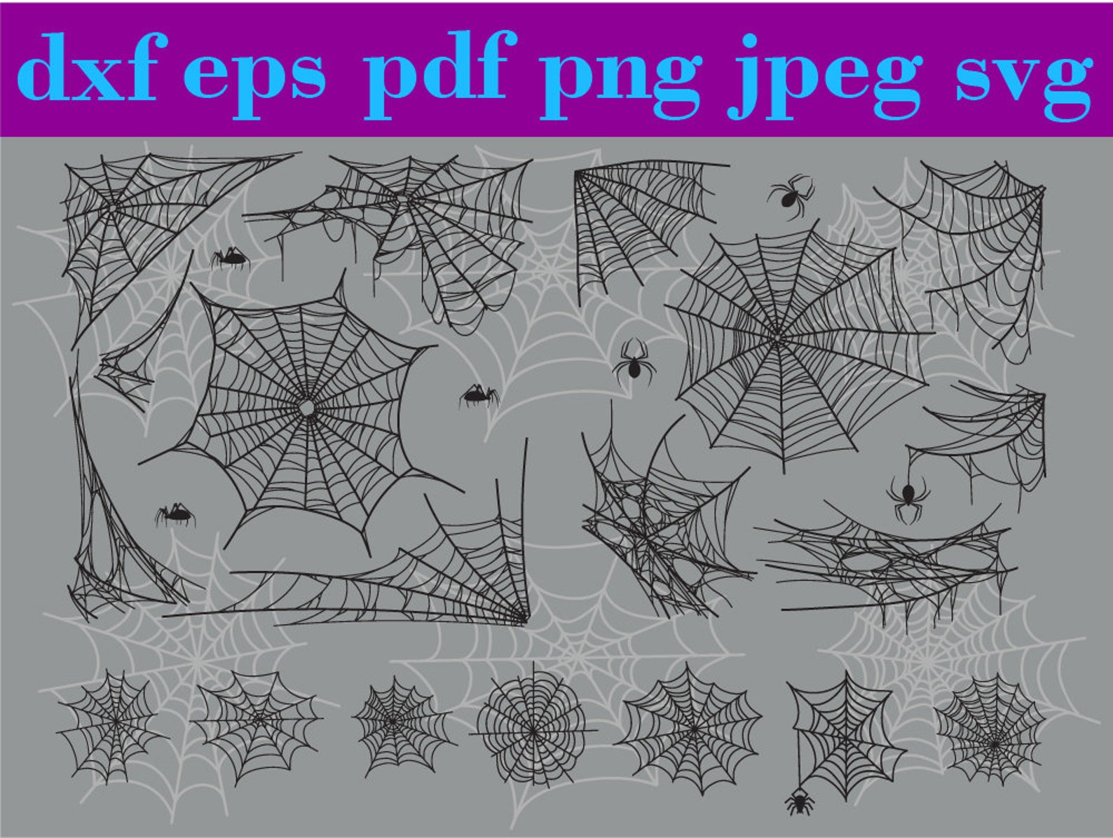 Spider Web Svg Spider Web Spider Svg Insect Svg Cobweb - Etsy
