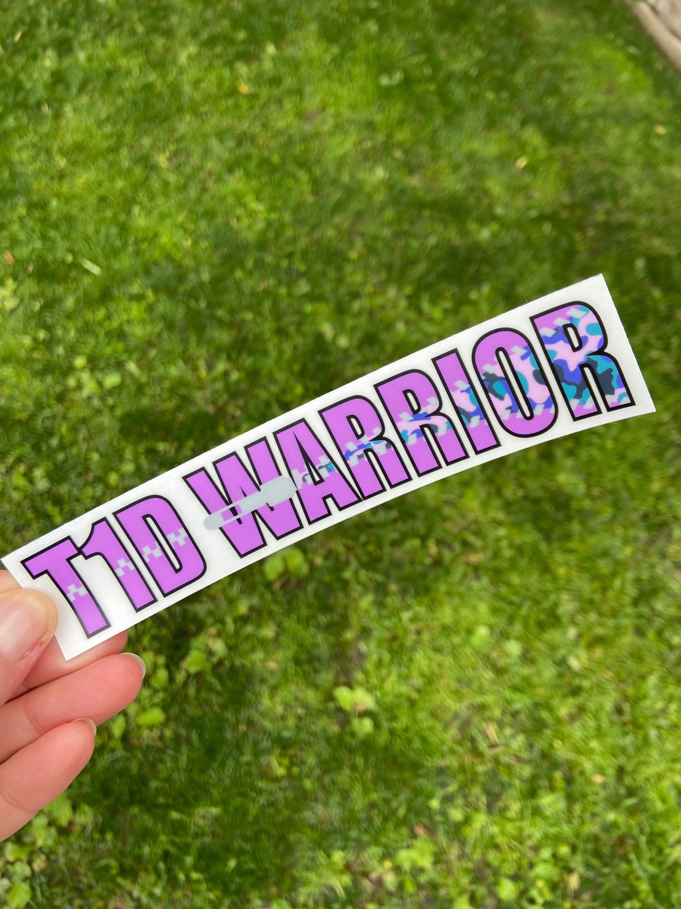 Type 1 Diabetes Warrior, Type 1, T1D, Diabetes, Diabetic, Kids Diabetes ...