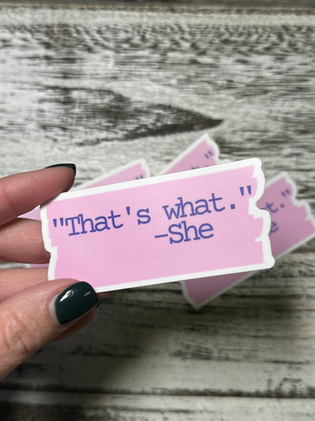 That's What She Said Sticker: Funny Sarcastic Vinyl Sticker - Etsy