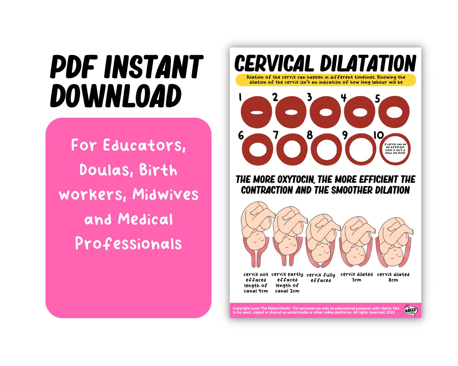 Cervical Dilation/dilatation & Enfacement by the Naked Doula - Etsy