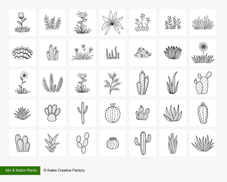 Plant Procreate Stamps: Cactus & Succulents (commercial Licence) - Etsy