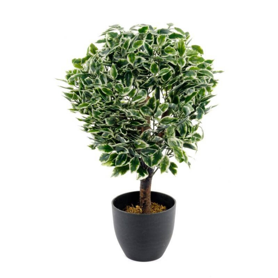 Artificial Variegated Ficus Ball 65cm - Etsy UK