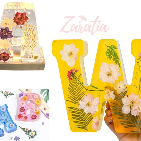 Big Molds Moulds - Etsy