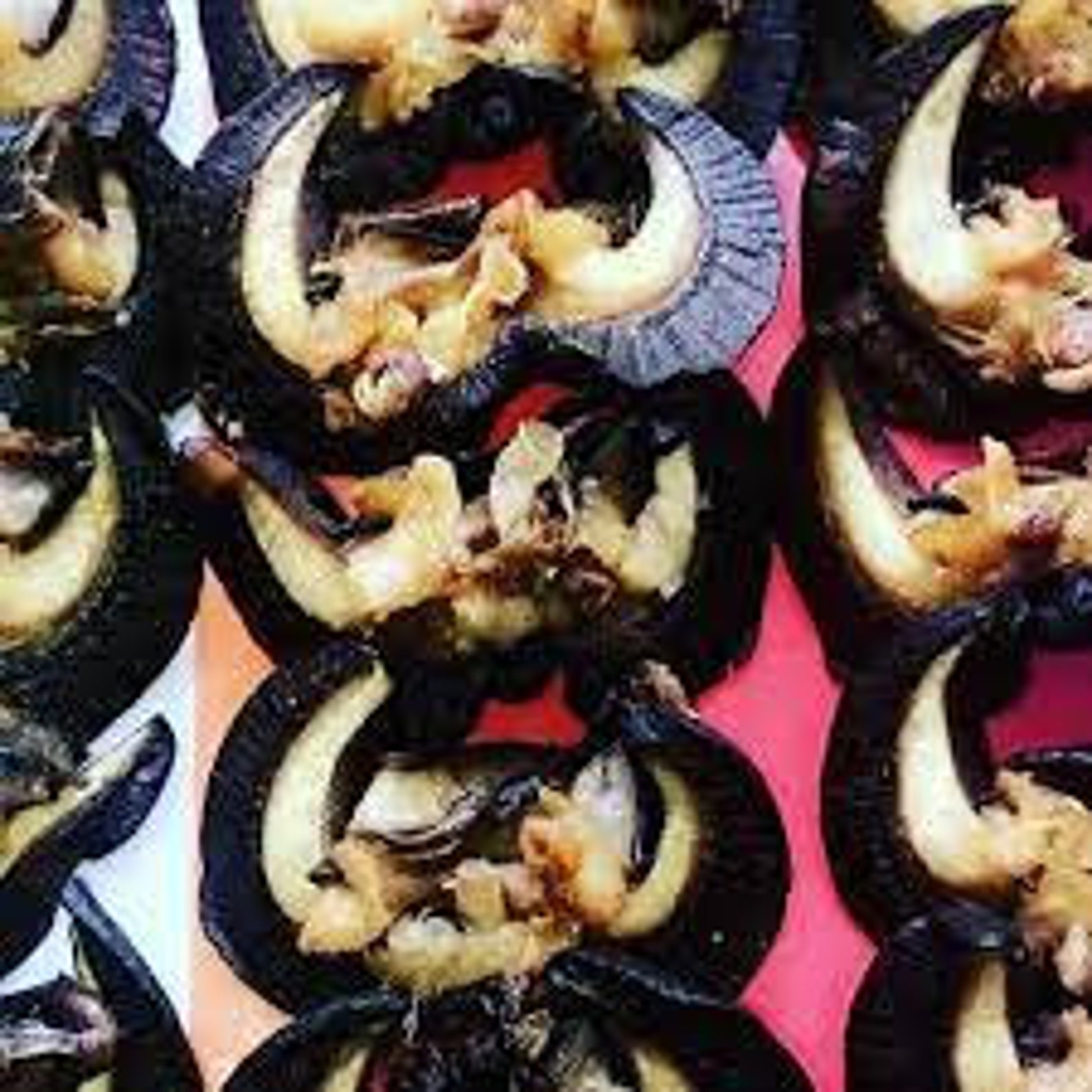 Large/jumbo/xjumbo Nigerian Snails Frozen - Etsy