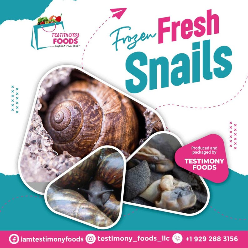 Large/jumbo/xjumbo Nigerian Snails Frozen - Etsy