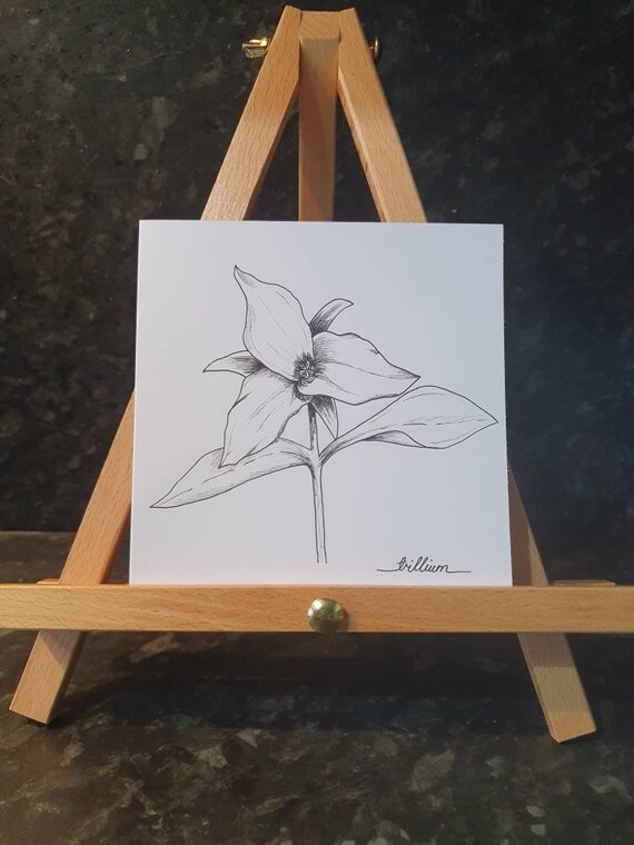 Trillium Hand Illustrated Floral Card. | Etsy