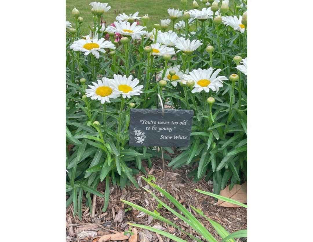 Custom Laser Engraved Slate Plant Marker: Memorial Tree Dedication - Etsy