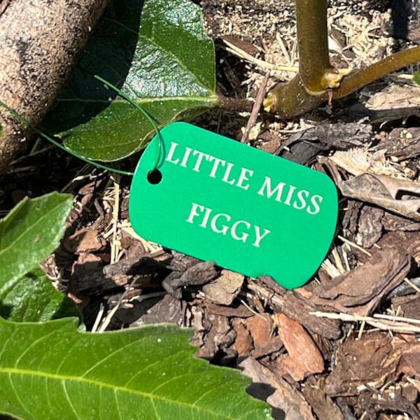 Plant Name Tags - Etsy