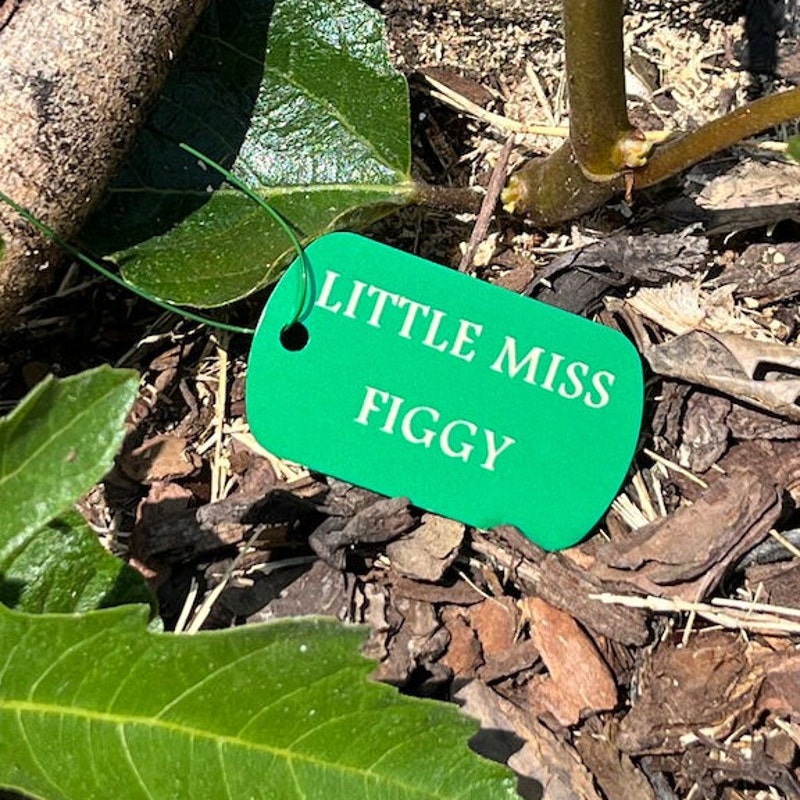 Plant Name Tags - Etsy