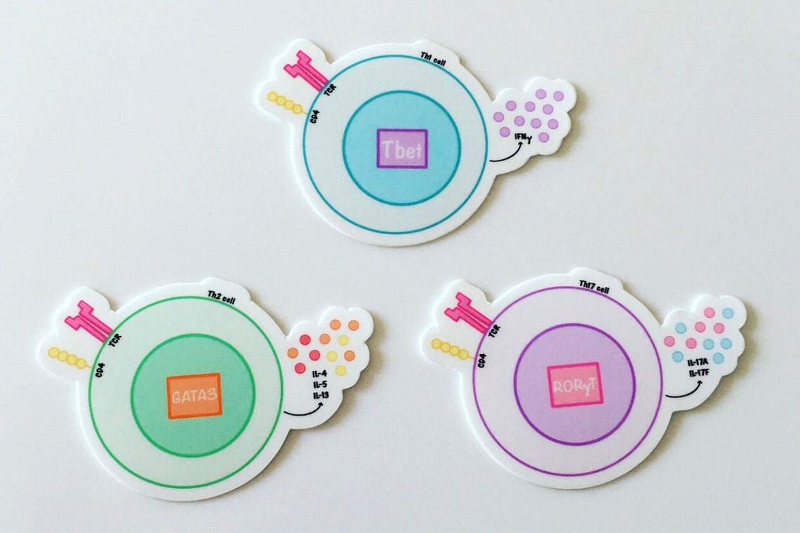 CD4 T Helper Cell Sticker I Th17 Cell I CD4 T Cell I Immune Cell ...