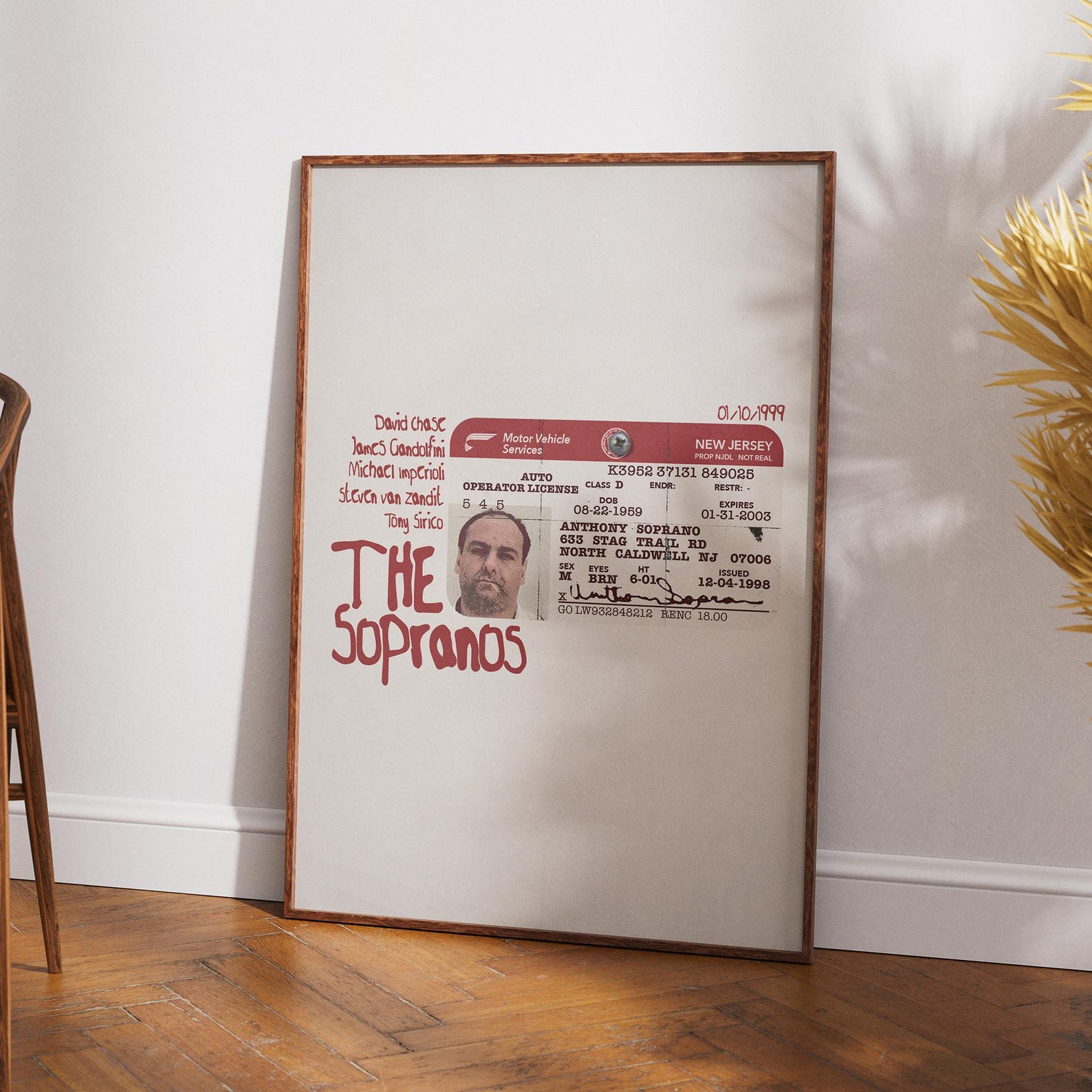The Sopranos TV Show Poster – Tony Soprano ID License Art Print, Retro Mafia Wall Decor, James ...