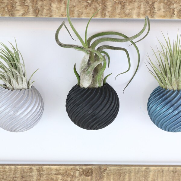 Air Plant Planters - Etsy