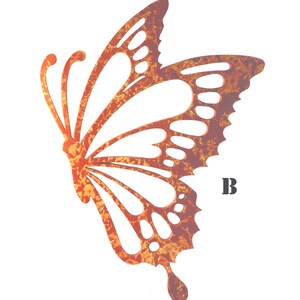 Collectible Butterfly. - Etsy