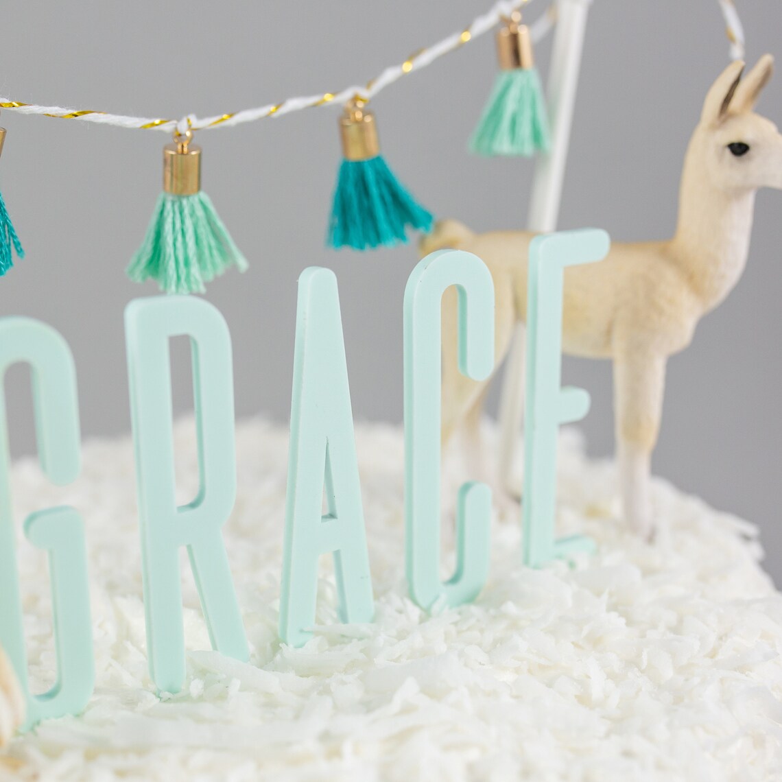 INDIVIDUAL Cake Topper LETTERS Choose your PASTEL Acrylic | Etsy