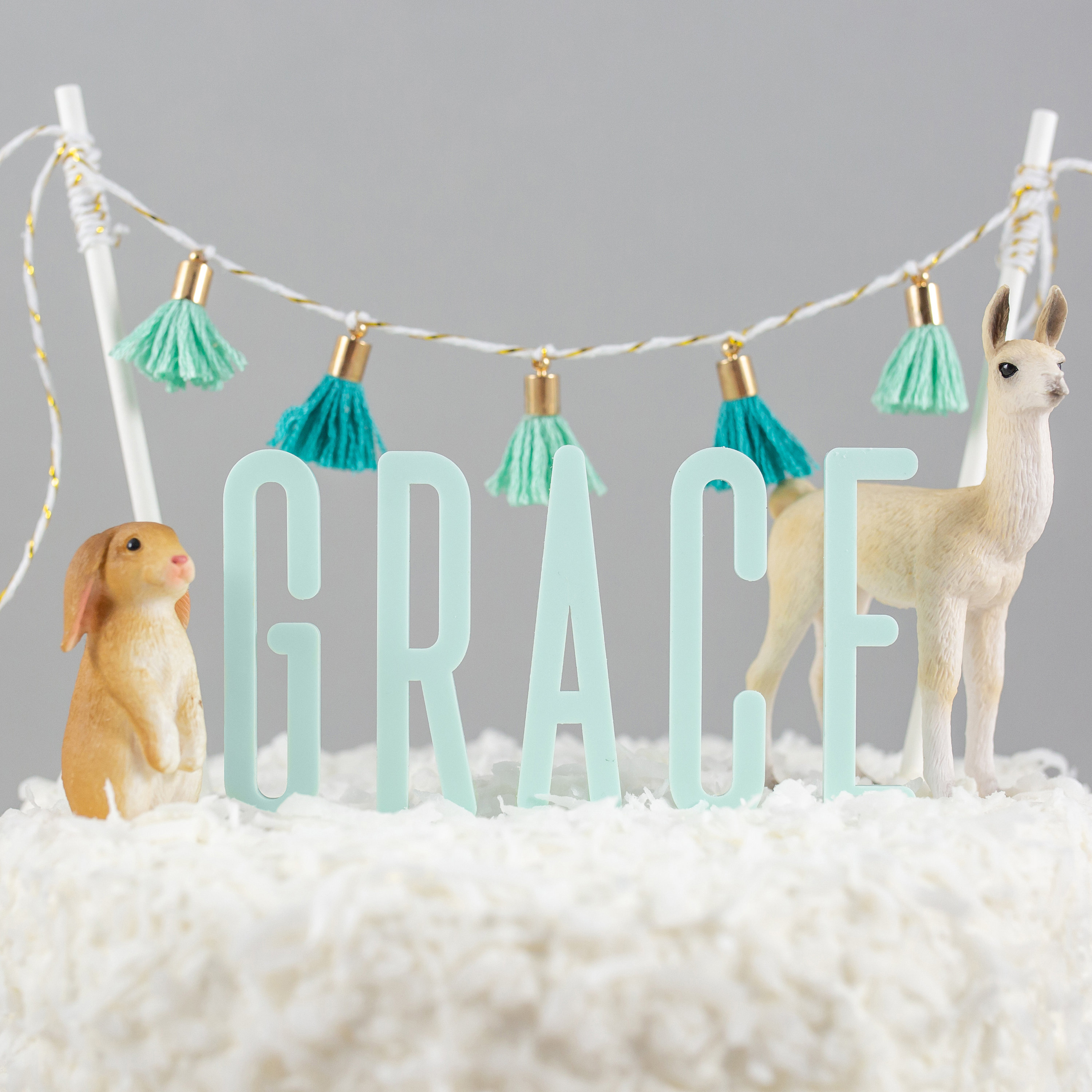 INDIVIDUAL Cake Topper LETTERS Choose your PASTEL Acrylic | Etsy