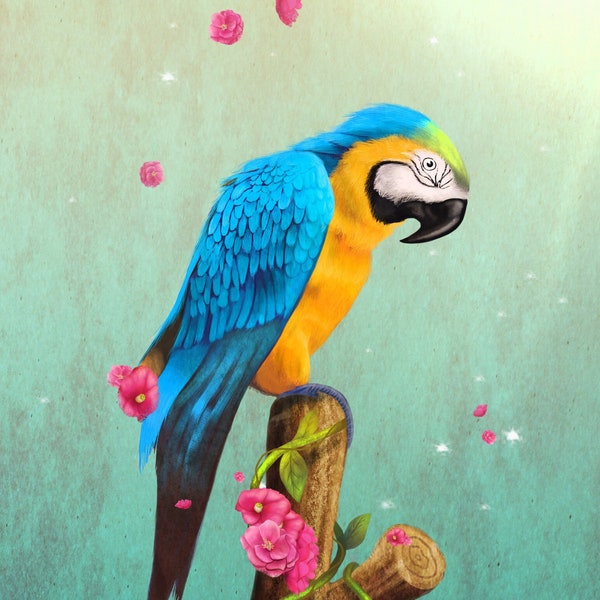 Parrot Diy Paint by Number - Etsy