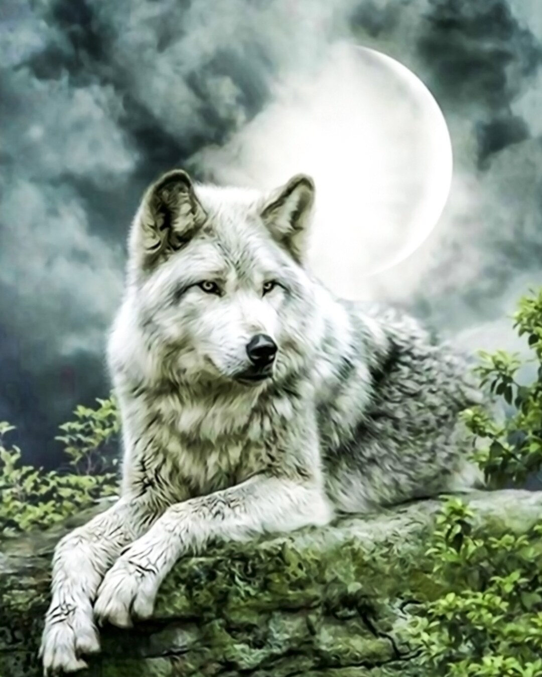 Paint by Number Kit Adult Wolf - Etsy