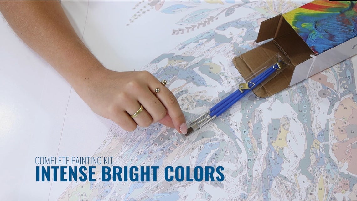 Acrylic Painting by Numbers for Adults Paint by Number Kit | Etsy