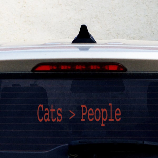 Best Friend Car Decals - Etsy