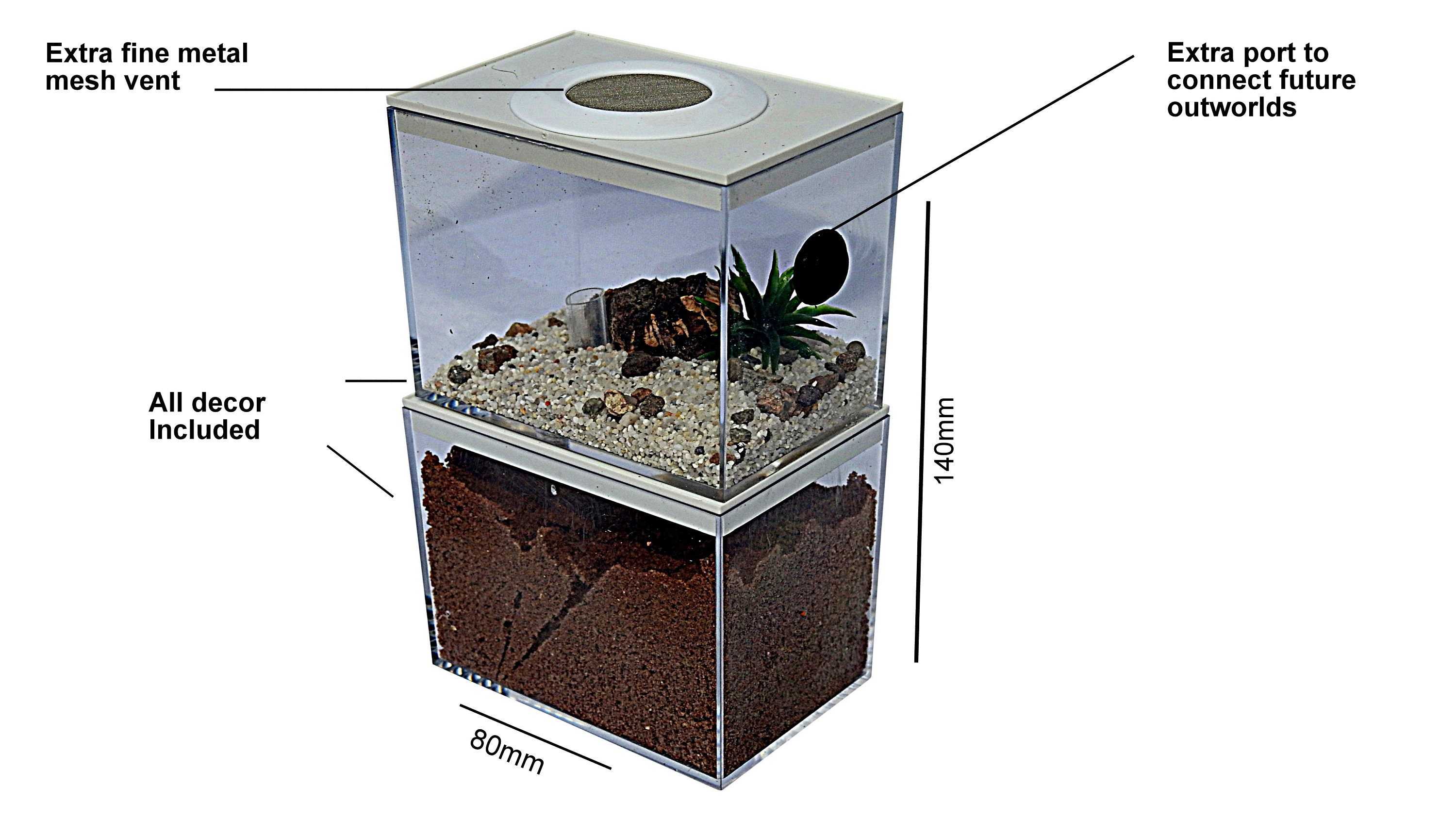 Ant Farm Double Decker Style | Etsy