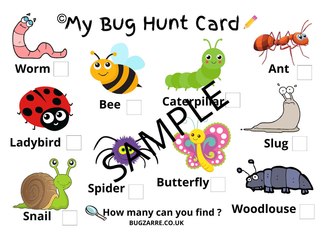 Preschool Bug Mini Beast Spotter Sheet Download - Etsy