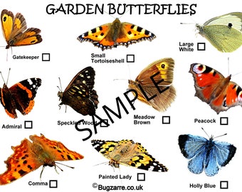 Bug Spotter Sheet - Etsy