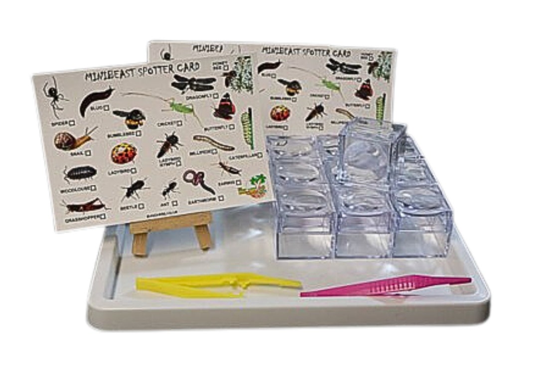 Minibeasts Observation Kit Including Tray - Etsy UK