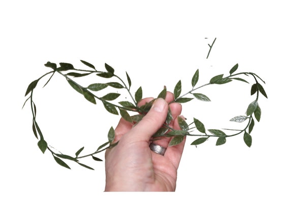 Betta/jumping Spider Tube Hide Aquarium Decor/enclosure Decor - Etsy Canada