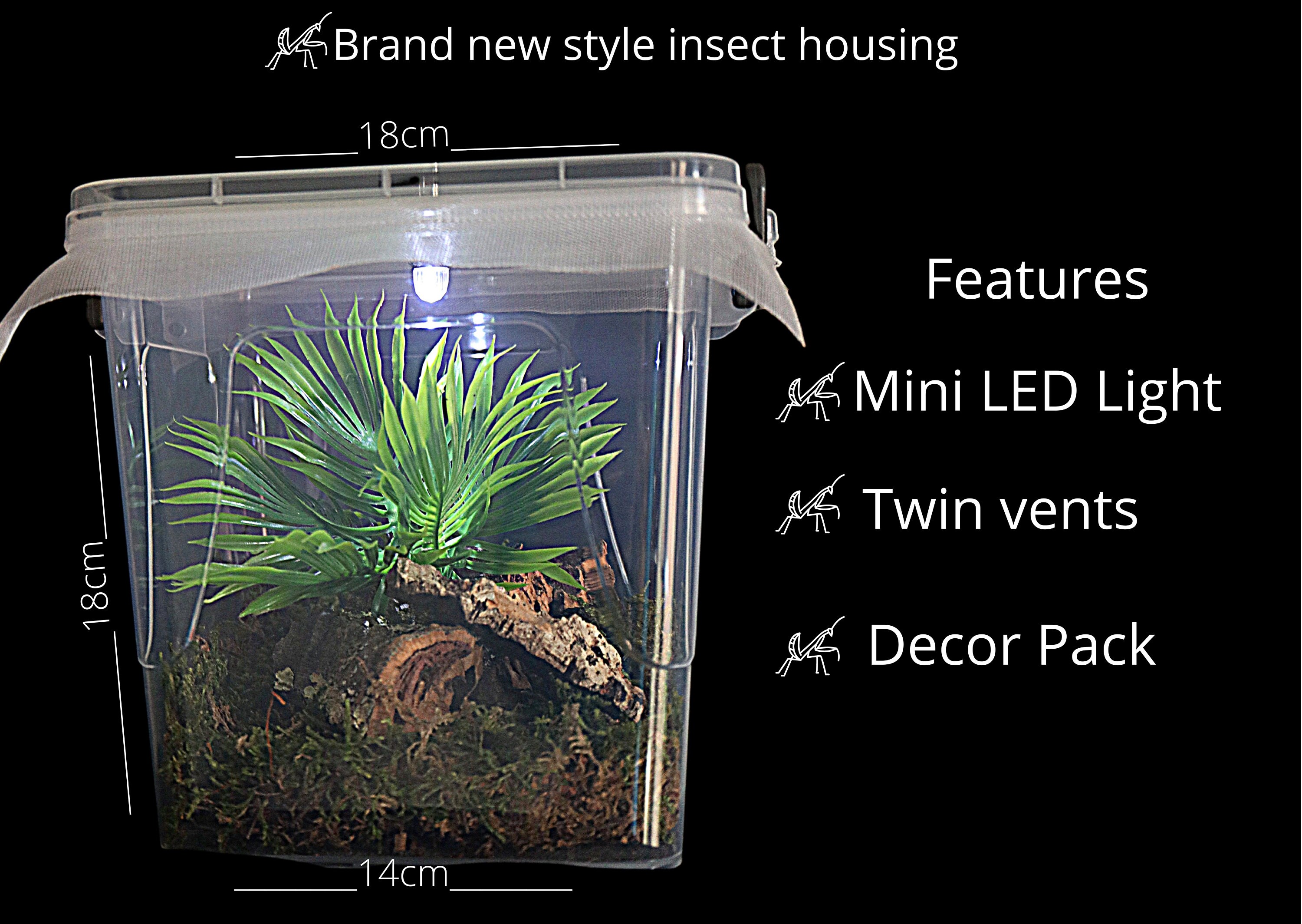 Insect Vivarium Ideal for Praying Mantis, Arboreal Spiders Etc - Etsy UK