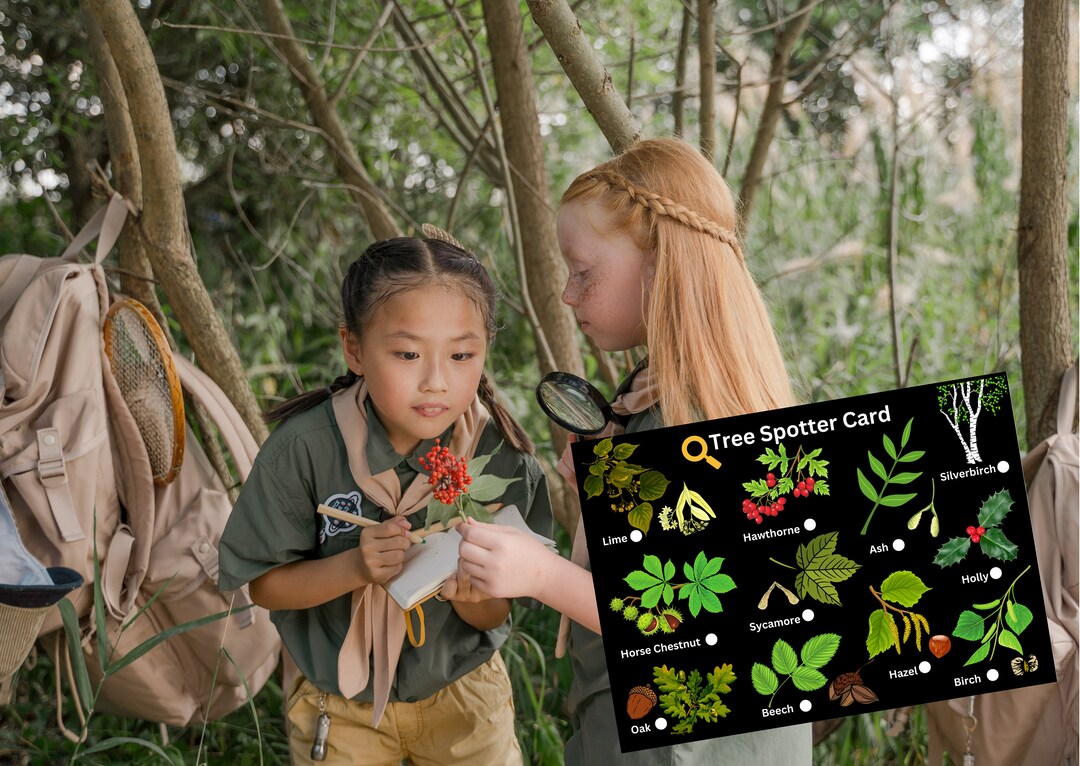Tree Spotter Card-identify Common Trees Perfect for Forest Schools ...