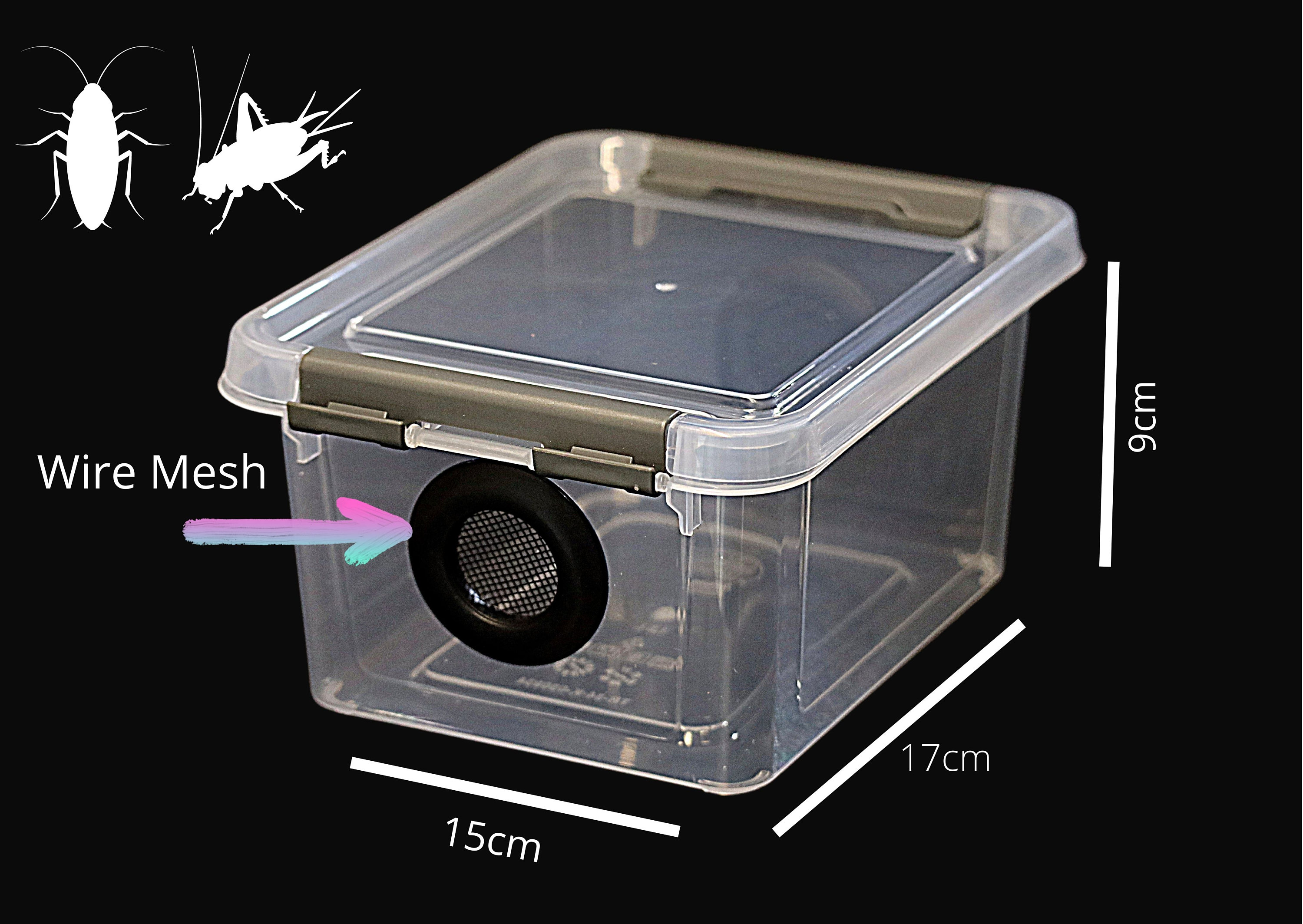 Invertebrate /spider Enclosure Value Twin Pack - Etsy UK