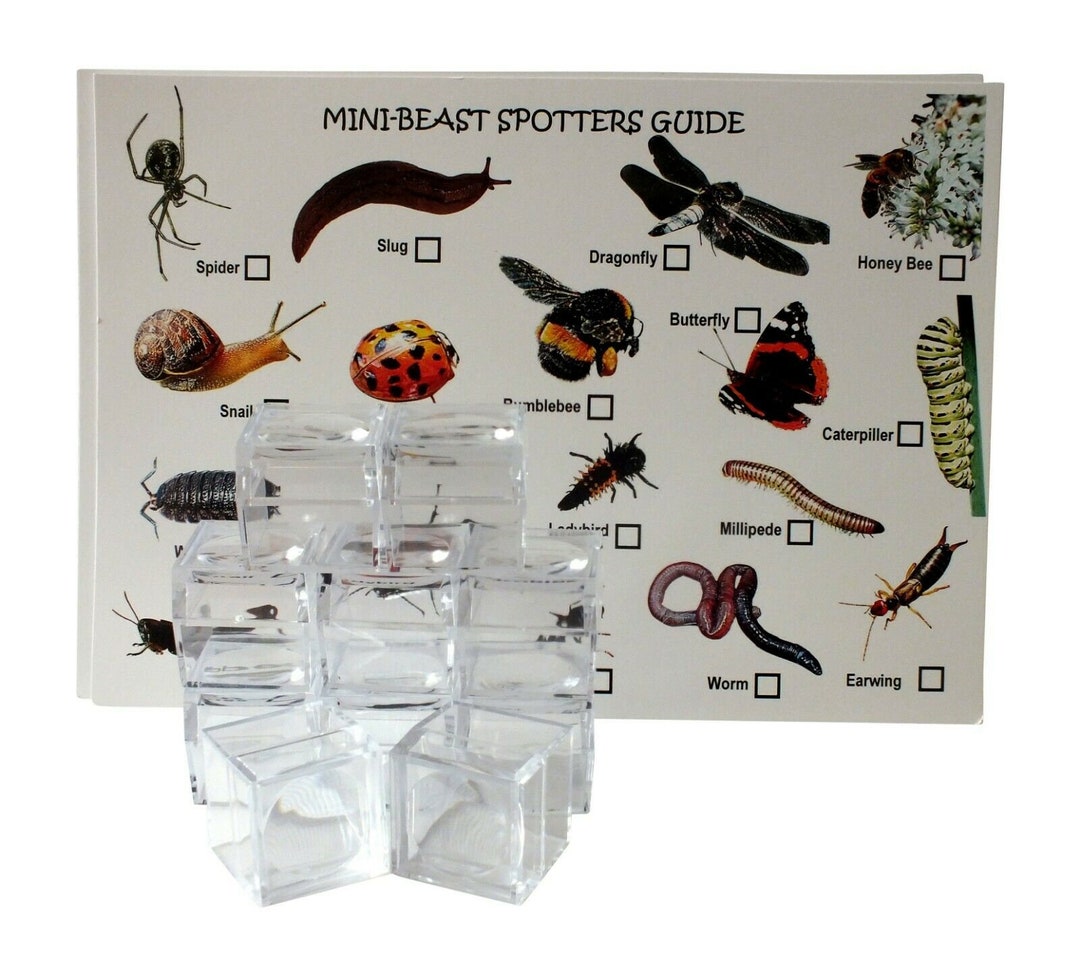Bug Pots With Insect Viewer Magnifying Pot Pack of 31 & 31 Large ...