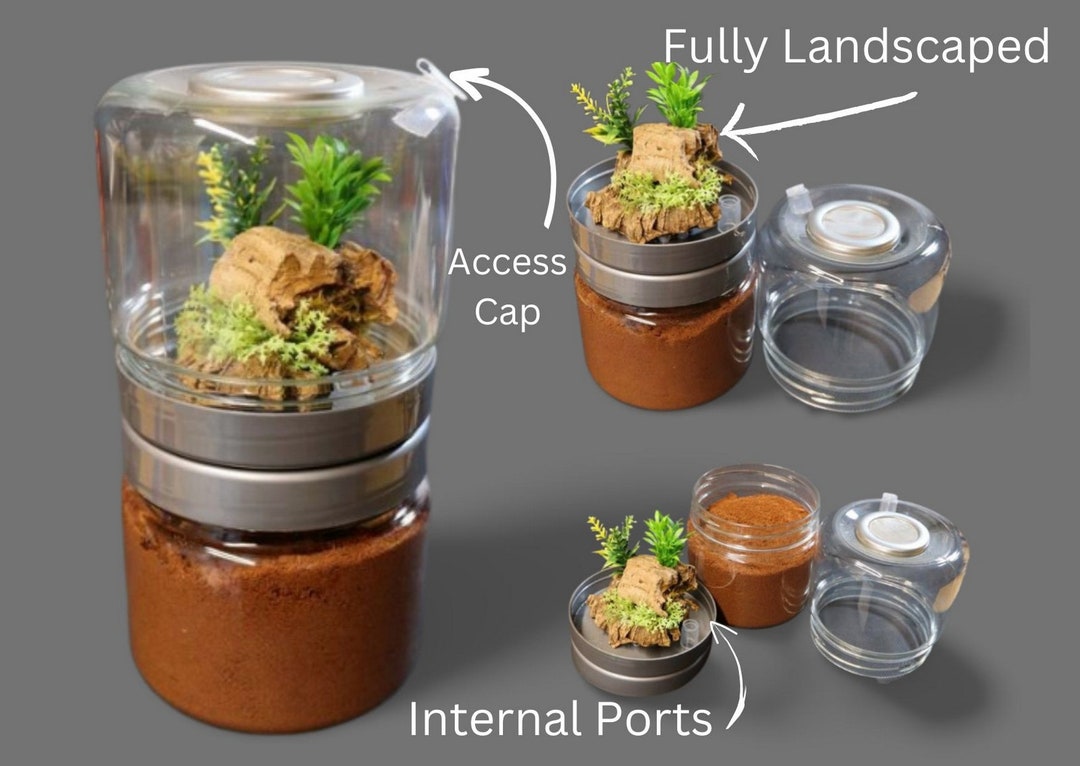 Large Ant Tower Double Decker Style - Etsy