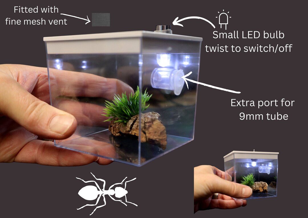 Ant Outworld With Light-ideal Add on for Your Ant Farm - Etsy