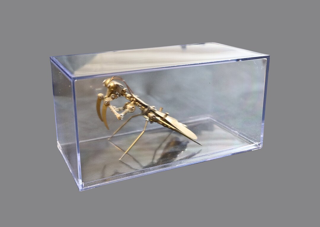 Clear Plastic Model Display Case - Etsy