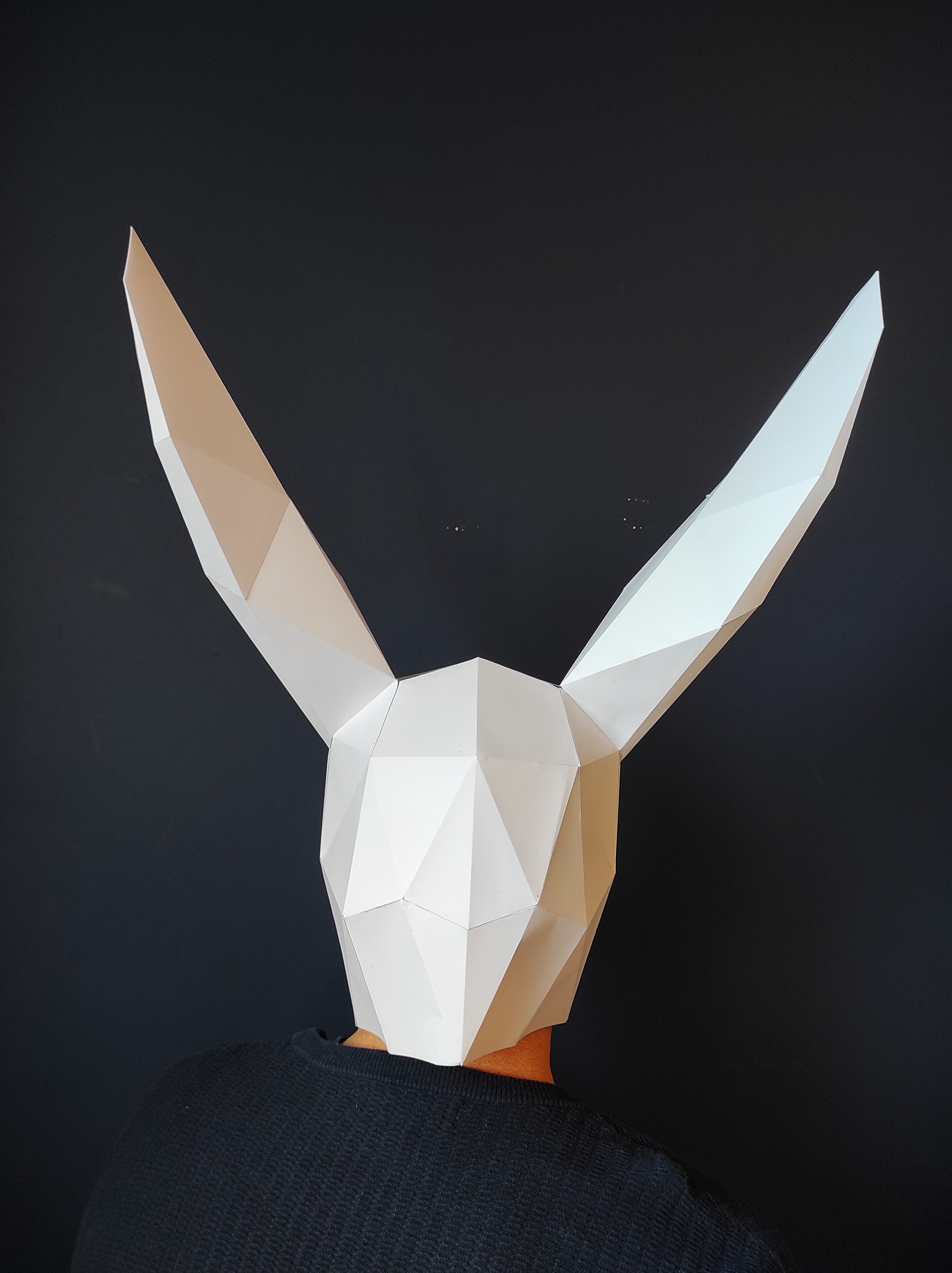 Rabbit Mask 3D Paper Craft Model Digital Download PDF DIY Papercraft ...