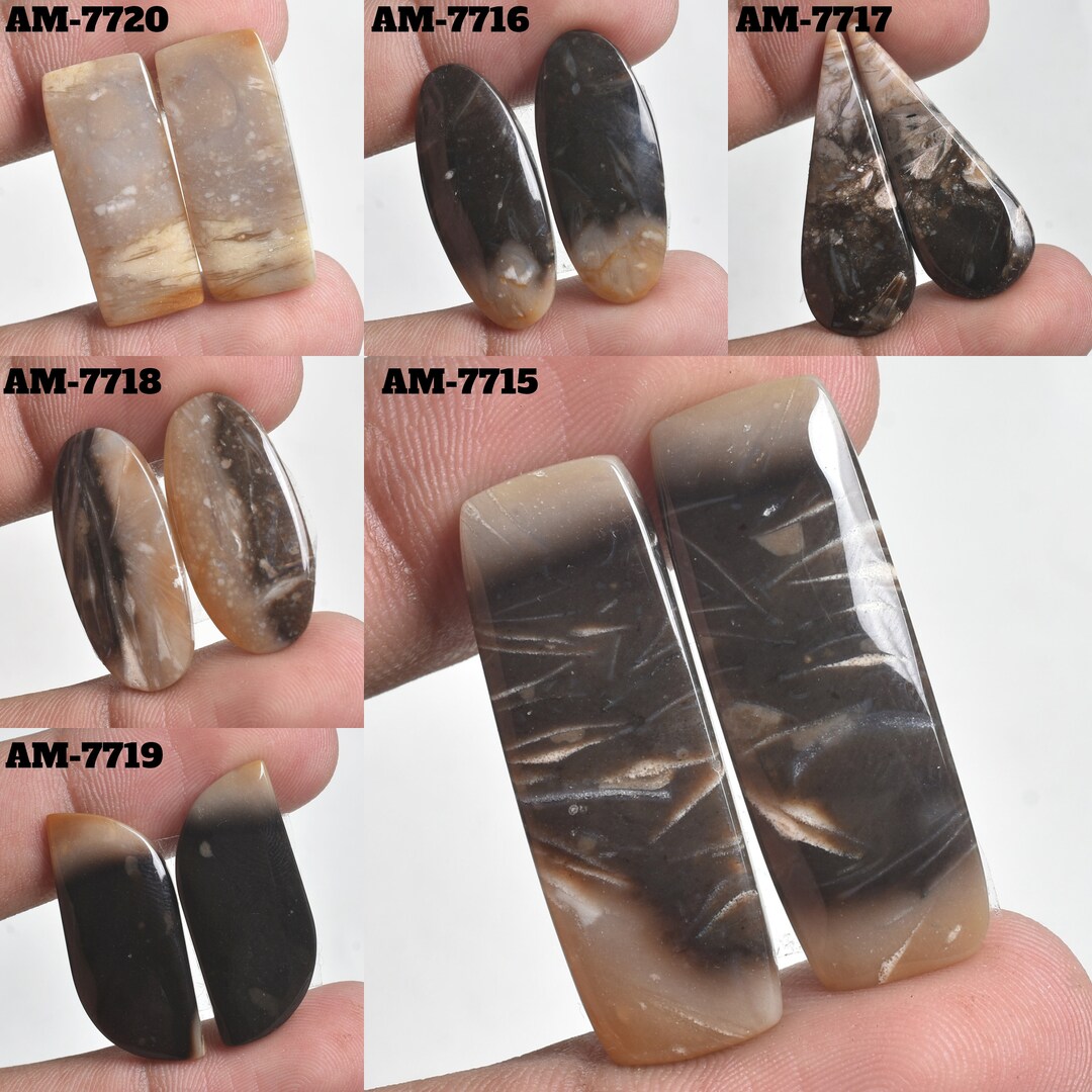 Rare Palm Root Agate Pair, Natural Indonesian Palm Root Matching Pair ...