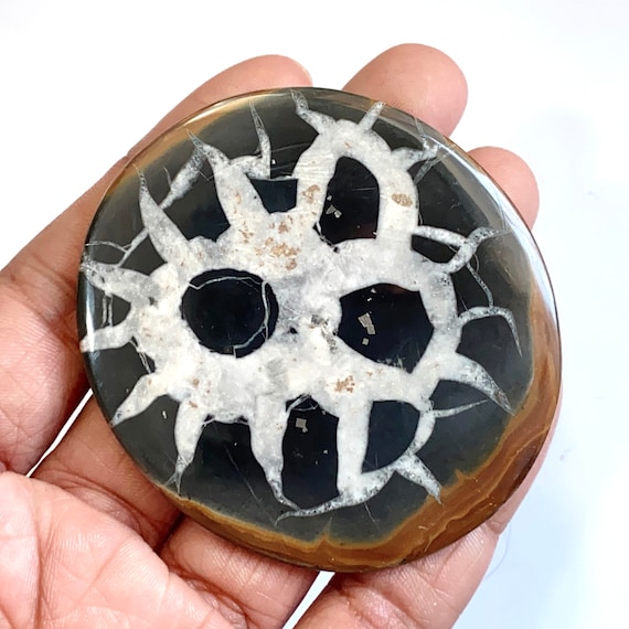 Smooth Septarian Gemstone Natural Brown Septarian Nodule Dragon Stone ...