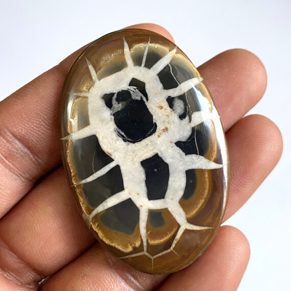 Smooth Septarian Gemstone Natural Brown Septarian Nodule Dragon Stone ...
