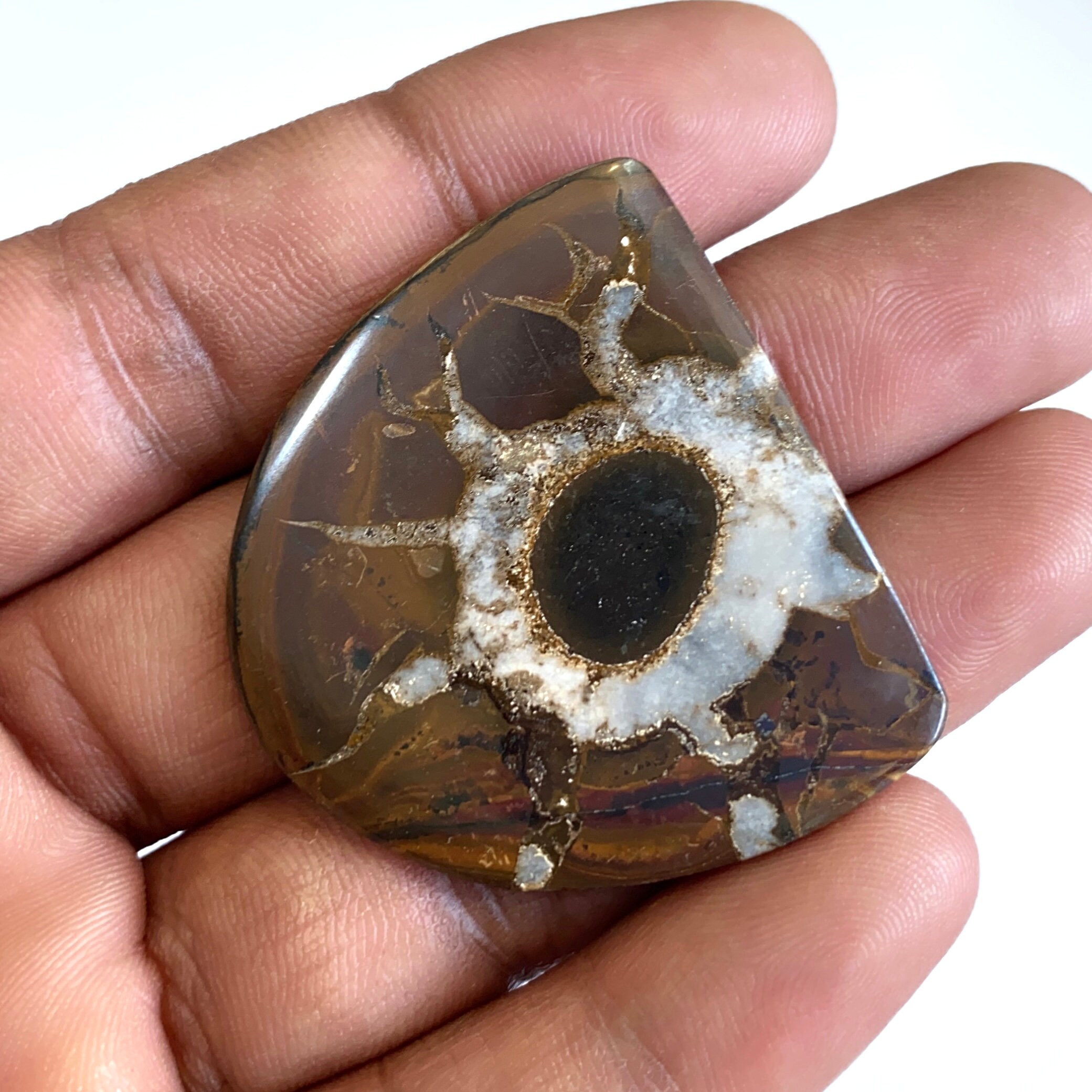 Smooth Septarian Gemstone Natural Brown Septarian Nodule Dragon Stone ...