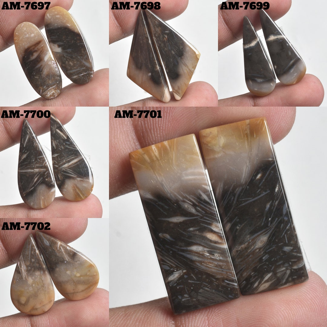 Indonesian Palm Root Matching Pair Natural Palm Root Agate - Etsy