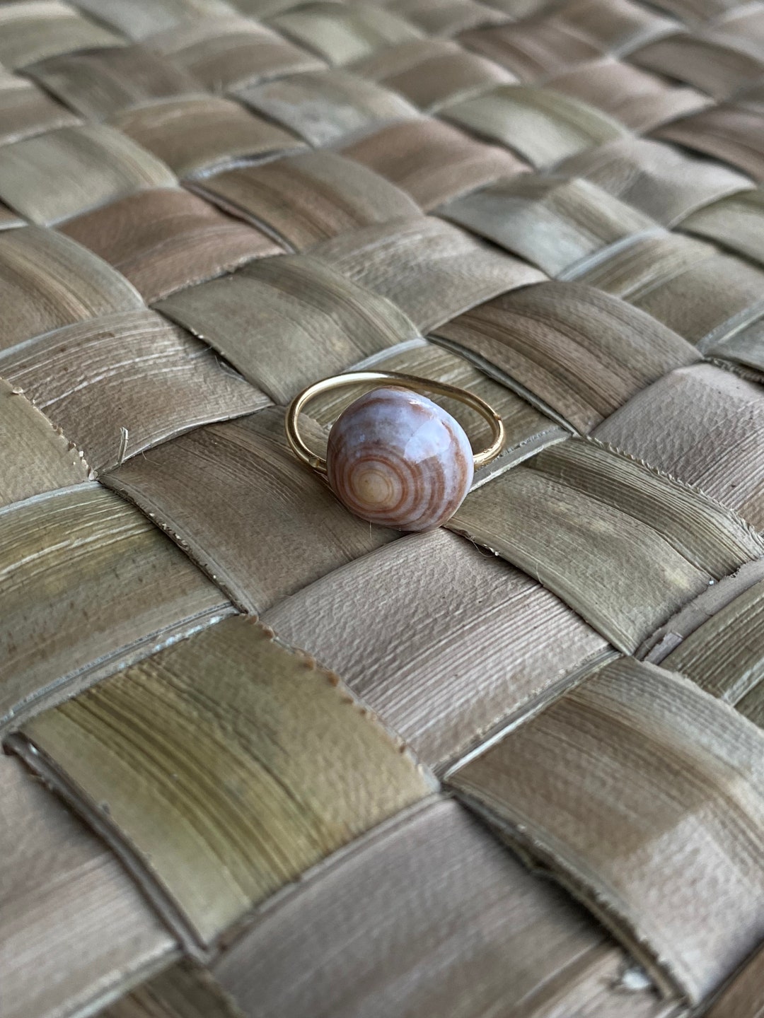 Shell Rings, Gift for Girl, Shells, Island Gift, Birthday Gift, Opihi ...