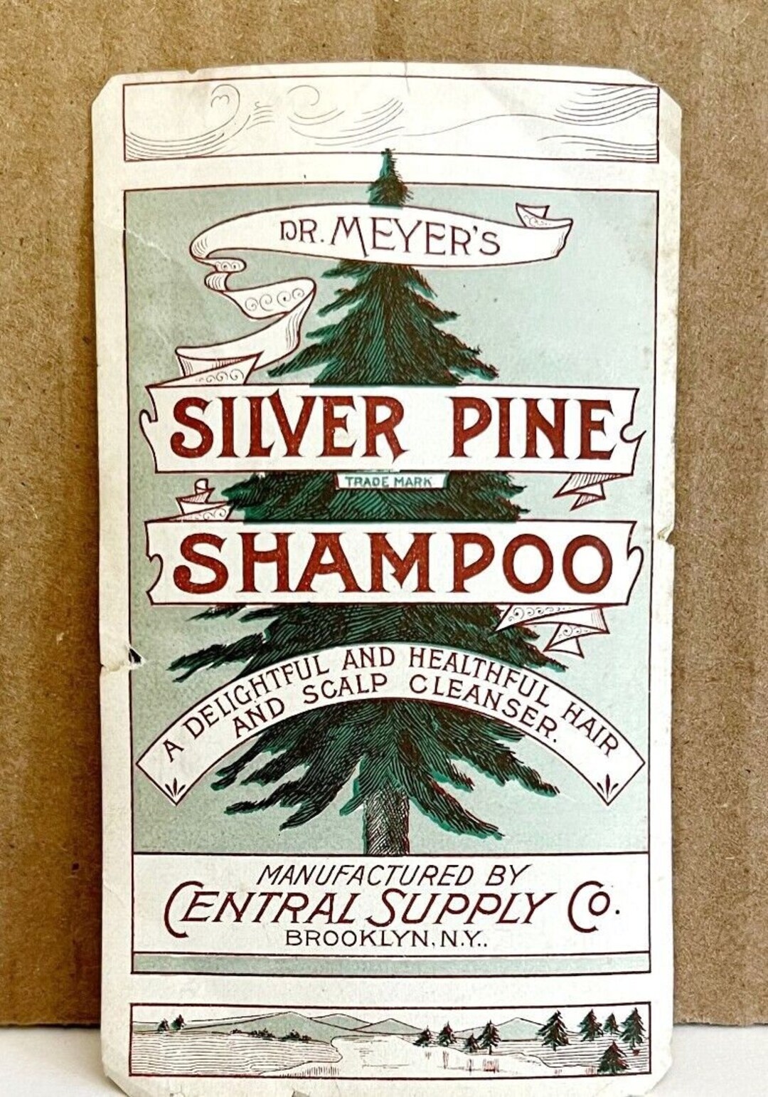 Central Supply Co Antique Label 1910s Dr Meyer's Silver - Etsy